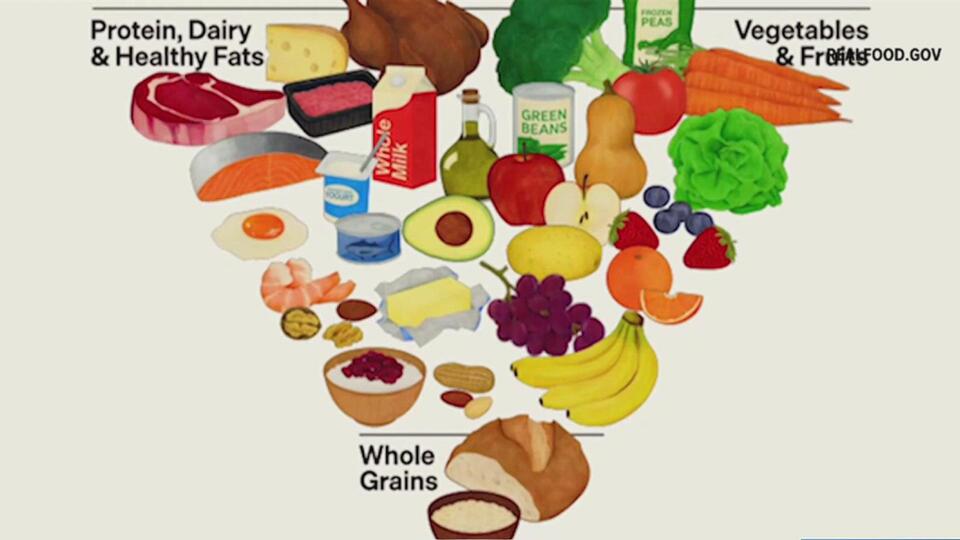 New USDA food pyramid gives boost to Pennsylvania’s dairy industry ...