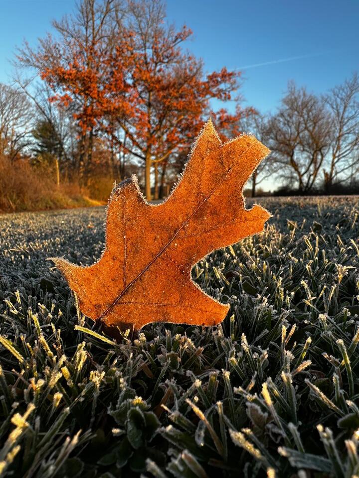 Cool, quiet Saturday gives way to rain, bone-chilling winds on Sunday ...