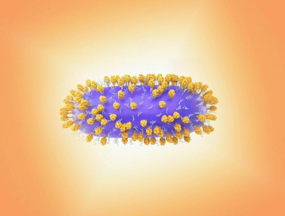 Texas, Here Are the Household Items That Are Covered In Germs - NewsBreak