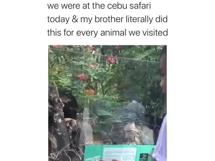 We were at the Sebu Safari today and my brother literally did this for ...
