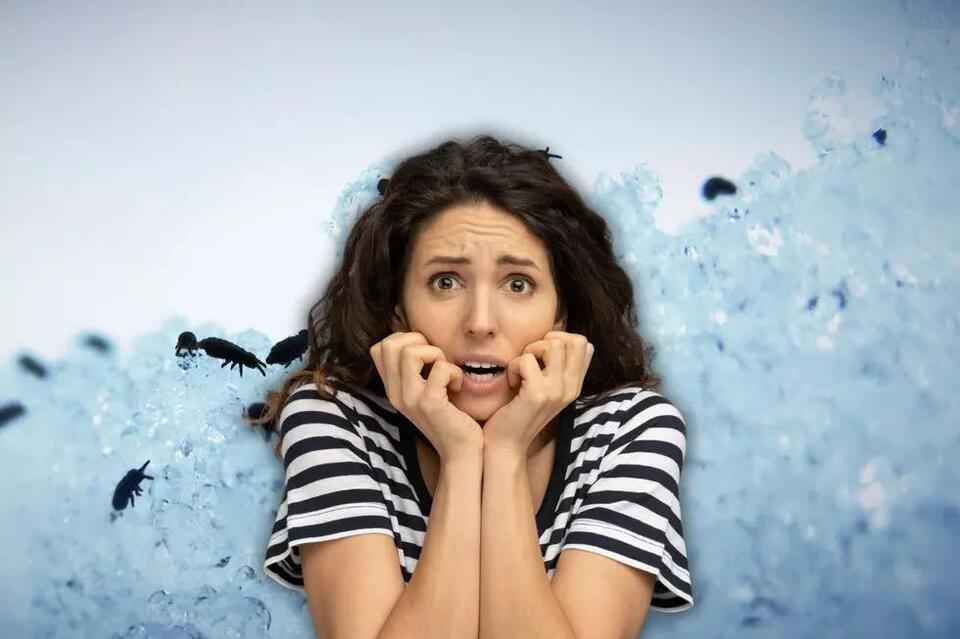 Does Colorado Have This Pesky Biting Bug? - NewsBreak