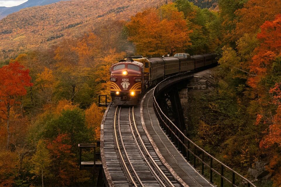 Michigan's Best Scenic Train Tours To Enjoy Fall Colors This Year ...