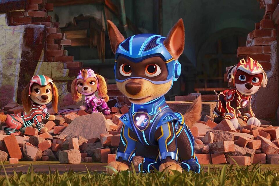 25 Facts About Paw Patrol - NewsBreak