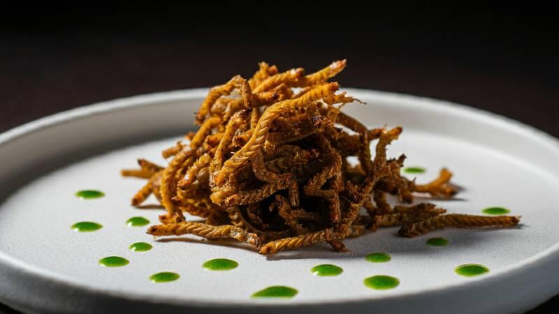 New Study Reveals Best Methods for Extracting Protein from Insects ...