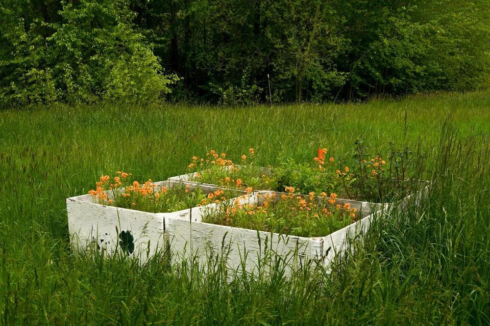 From Pollinators to Fungi: The Wild Science Behind National Public ...
