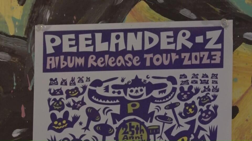 Punk band Peelander-Z hospitalized after crash in New Mexico - NewsBreak