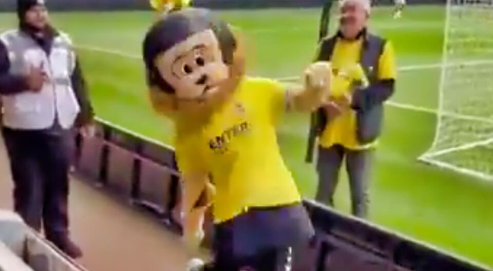 Soccer Mascot Gets Ejected From The Game For Appearing To Be Wildly ...