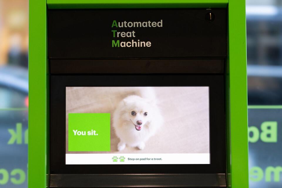 New Jersey banks are rolling out Dog ATMs this October - NewsBreak