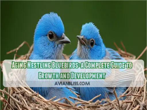 Aging Nestling Bluebirds: a Complete Guide to Growth and Development (2024)