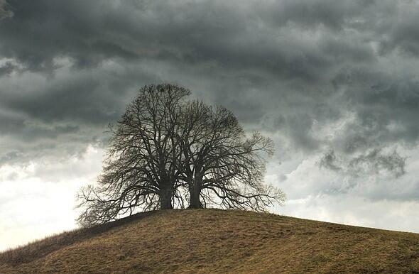 Cool, cloudy weather in the forecast this week for Paso Robles - NewsBreak