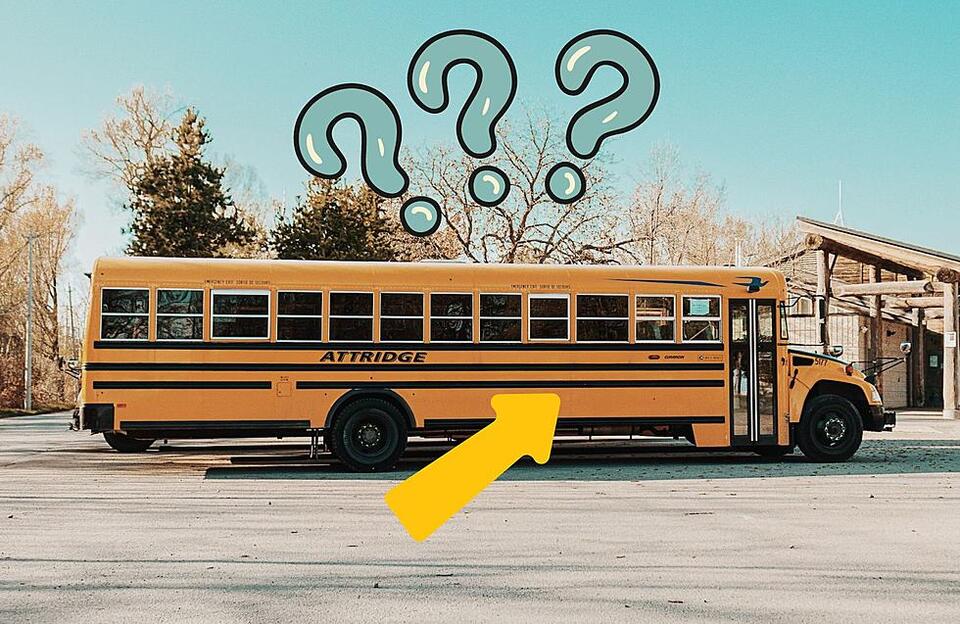 What Are the 3 Black Stripes on New Jersey School Buses For? - NewsBreak