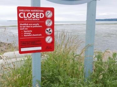 Recreational shellfish harvesting closed in northern Whatcom County