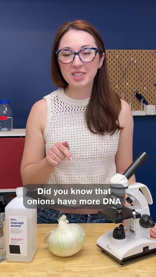Did you know that onion cells contain more DNA per cell than humans 🧅 ...