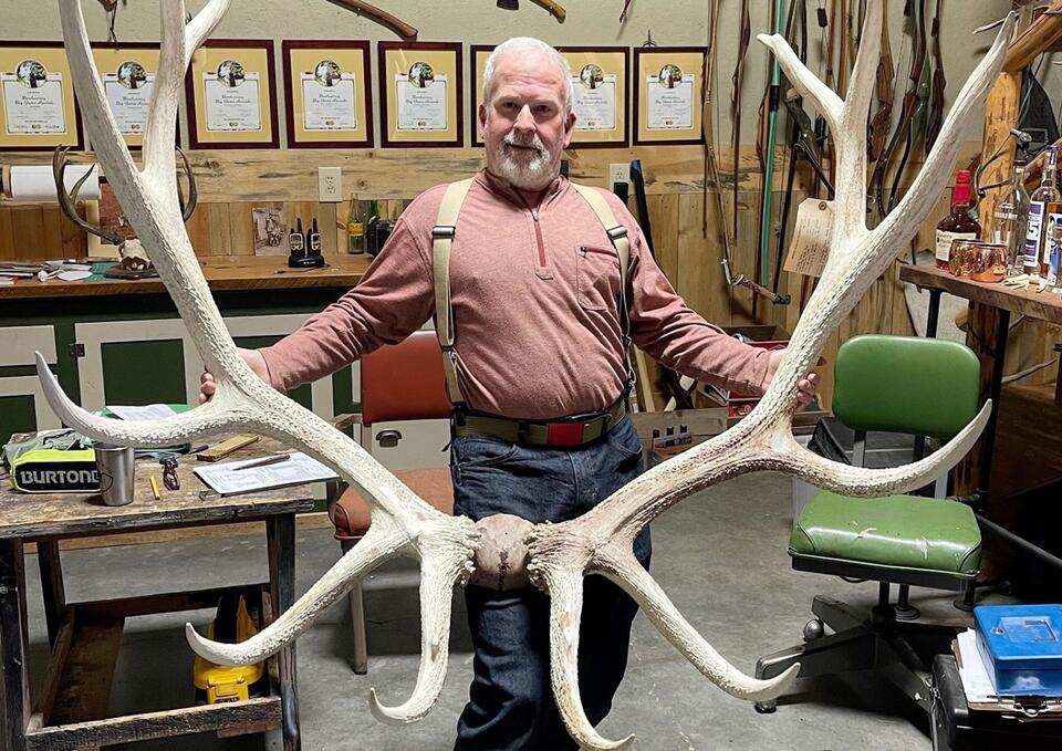 Oregon Man Stumbled Upon The 2nd Largest Elk In State History While ...