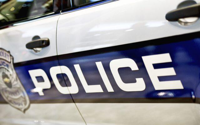 61 Dogs, 3 Cats Rescued from Potential Genesee County Animal Hoarding ...
