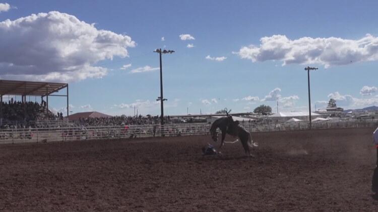 Arizona man, blind after suicide attempt, takes on rodeo - NewsBreak
