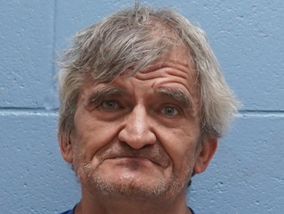 29 dogs found dead in plastic bags at Alabama home with dozens more ...