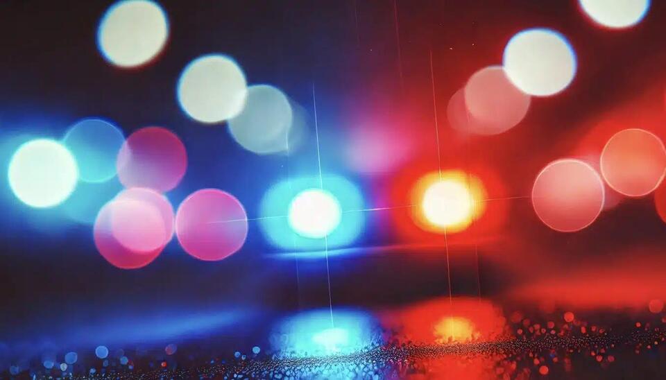 Bibb County, GA – Arrest Alert: Traffic Stop Leads to Animal Cruelty ...