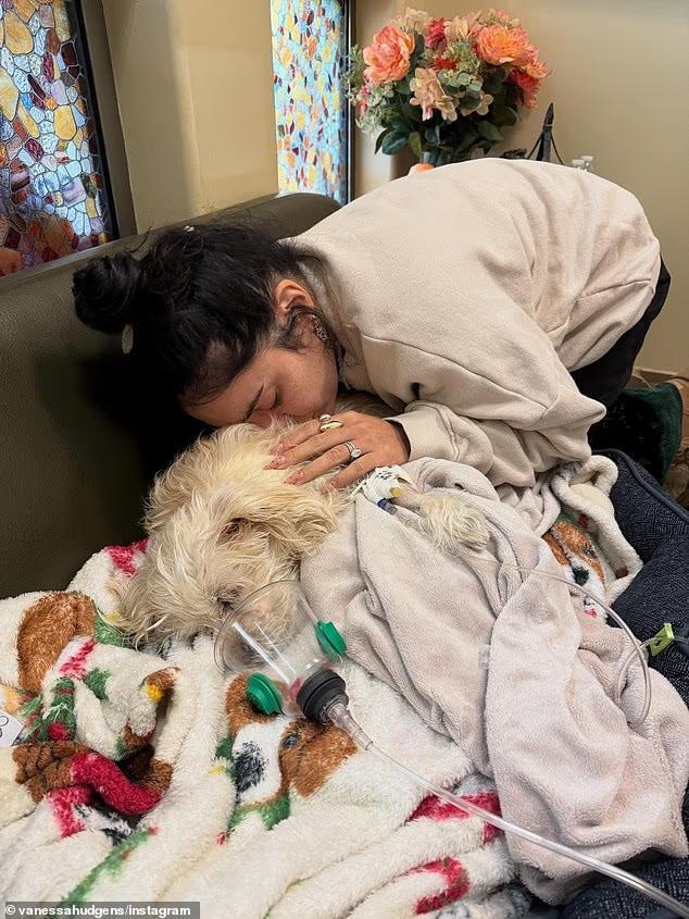 Vanessa Hudgens says she's 'beyond heartbroken' after having to put ...