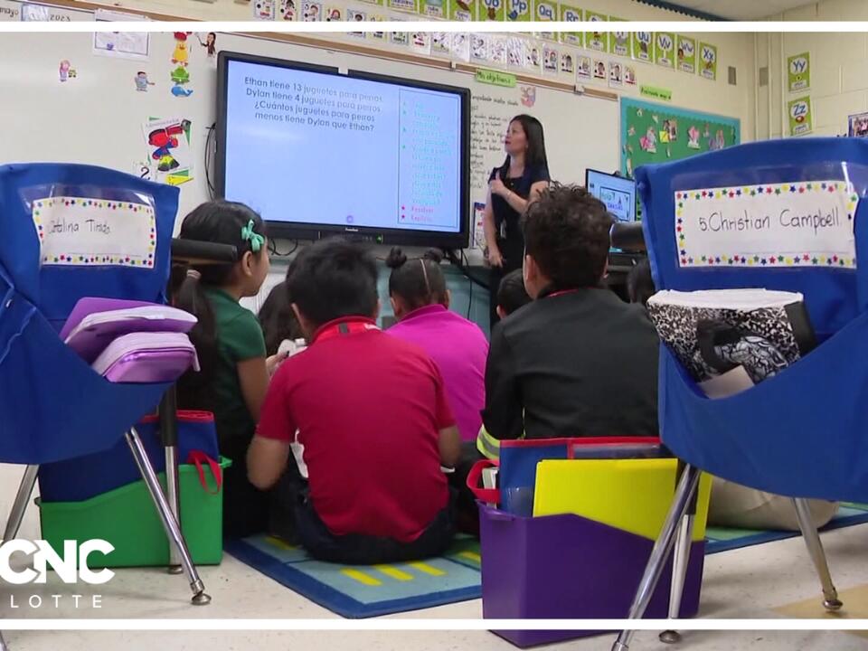 Less than half of teachers feel job is worth the stress, Education ...