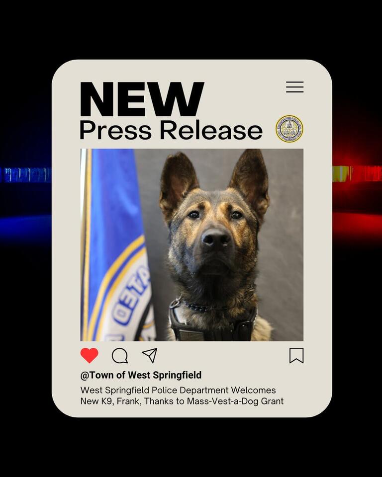 Meet K9 Frank: West Springfield’s drug-sniffing, suspect-chasing hero ...
