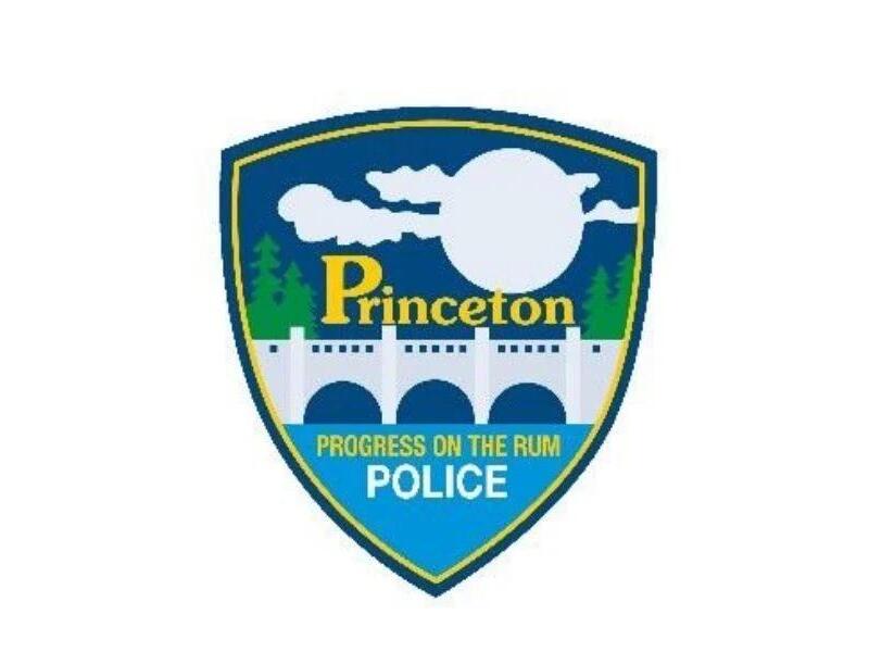Princeton police report: week ending June 20