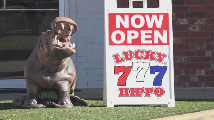 City of Hutto reveals name of hippo mascot - NewsBreak