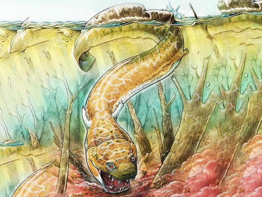 Giant salamander-like beast was a top predator before the dinosaurs