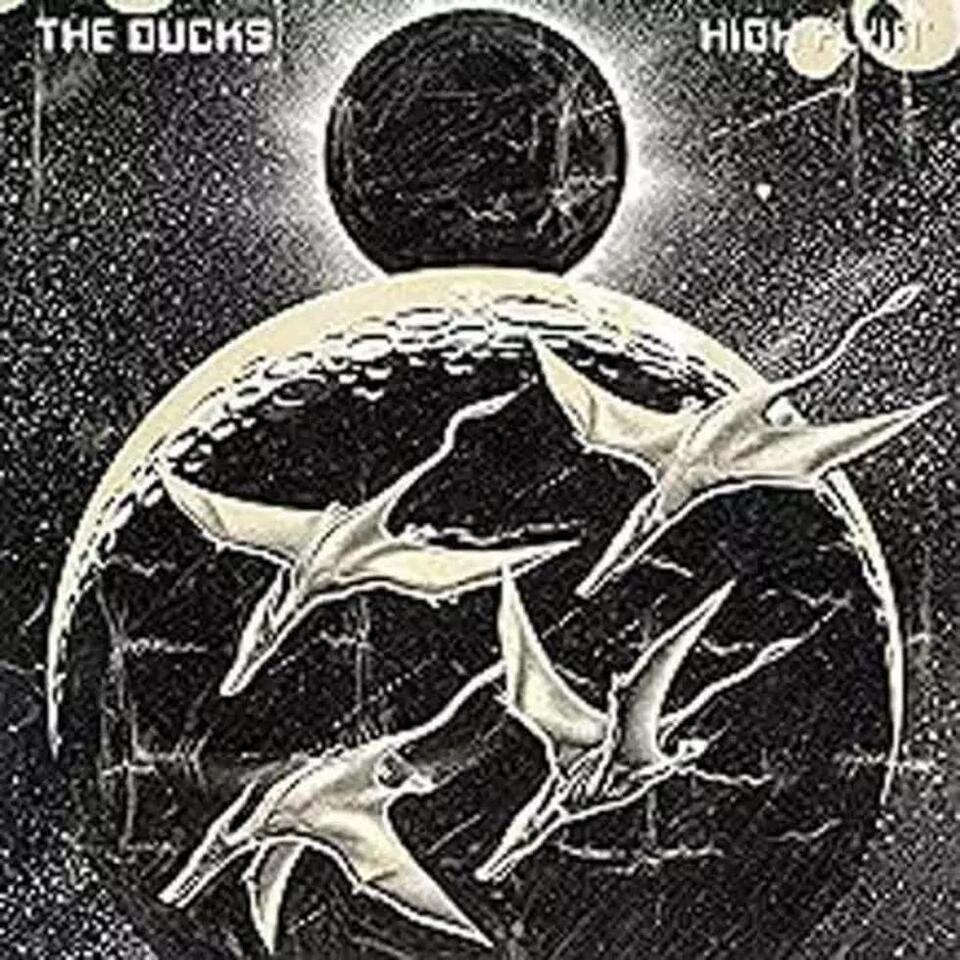 Neil Young Expands ‘Tonight’s the Night’ for 50th Anniversary Reissue ...