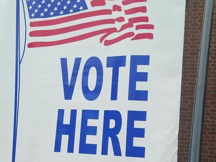 Richmond County voters pick candidates in primaries for general election