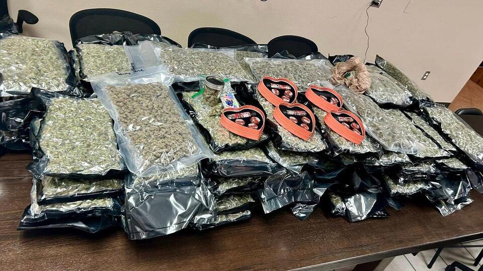 OBN K-9 team seizes Oklahoma-grown marijuana bound for out-of-state ...