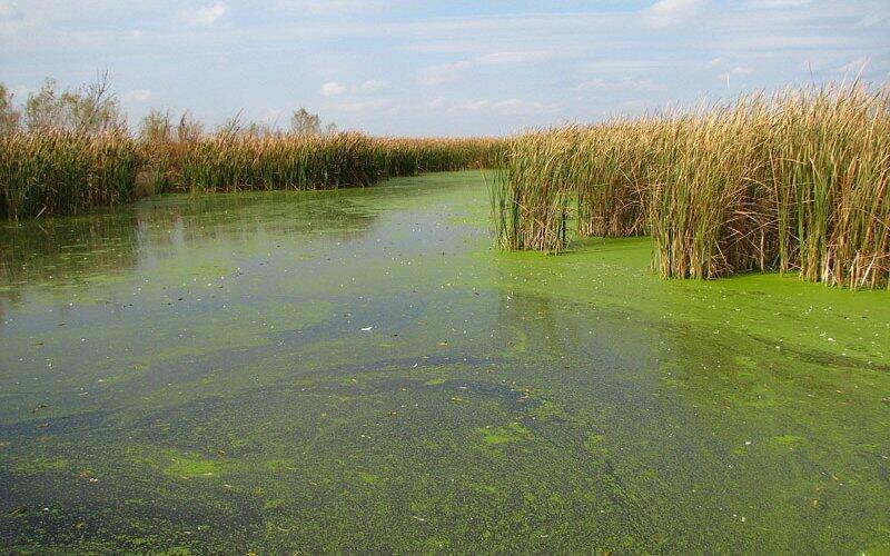 9-15-25 two men accused of dumping fluorescent bulbs containing mercury ...