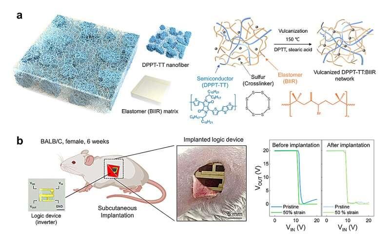 A biocompatible and stretchable transistor for implantable devices ...