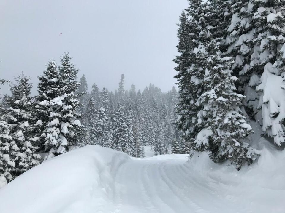 What Is Winter In Montana Like? - NewsBreak