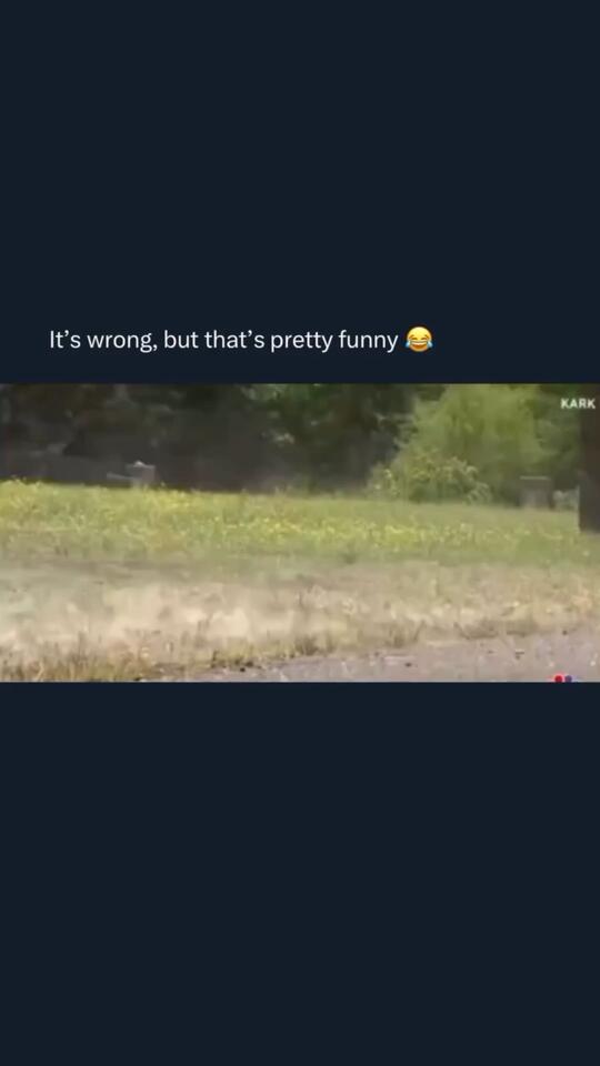 Actually that's quite a good shot 😆 - NewsBreak