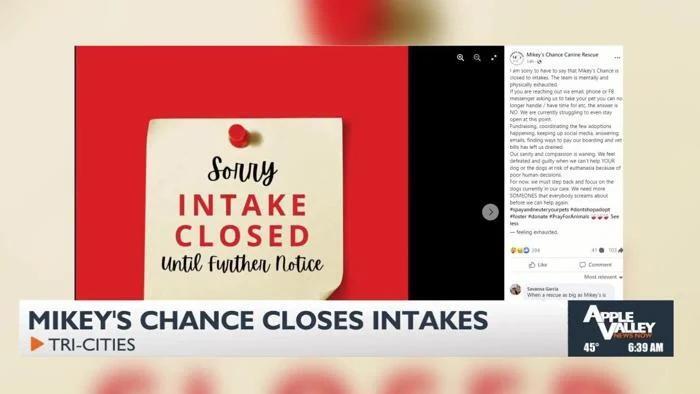 How the community can help Mikey’s Chance after rescue pauses animal ...