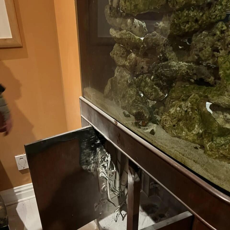 Fish Tank Fire Ignites In Millwood Home - NewsBreak