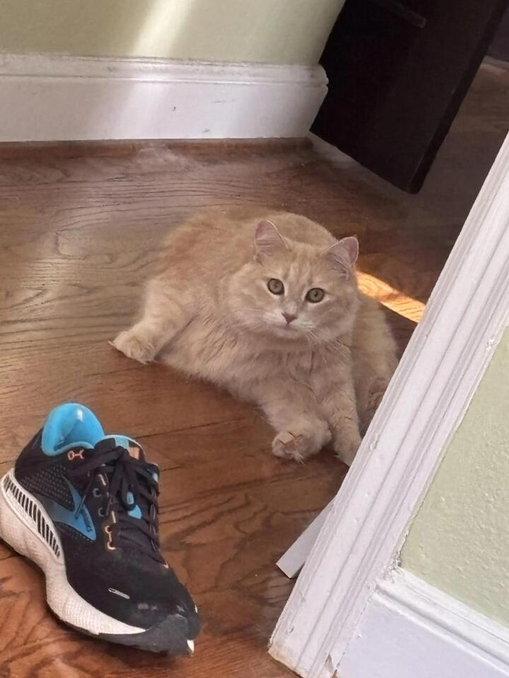 Friday Open Line Newsbreak