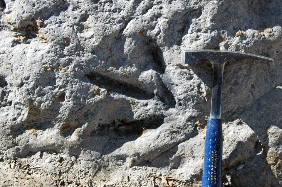 The First Dino Footsteps: What Triassic Tracks Tell Us About Their ...