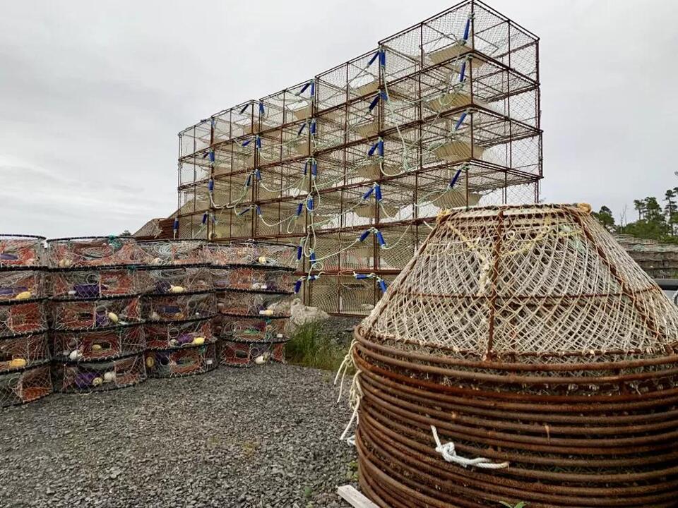 Southeast Alaska to get first commercial red king crab fishery in 8 ...