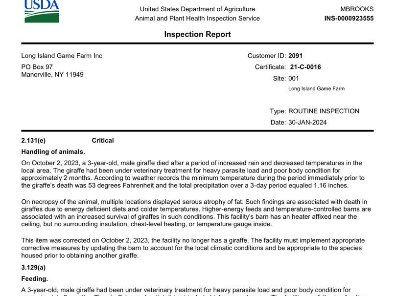 LI Game Farm giraffe’s death tied to poor conditions and malnutrition, USDA