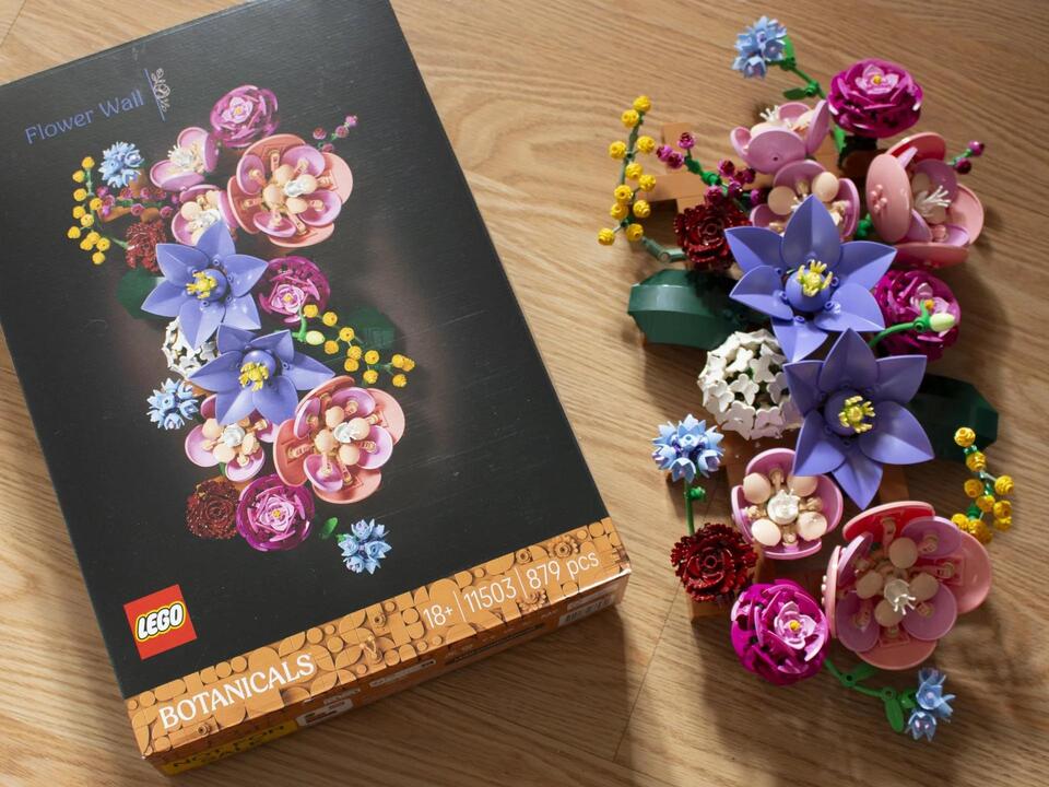LEGO Botanicals 11503: A Flower Wall of Parts and Possibilities - NewsBreak