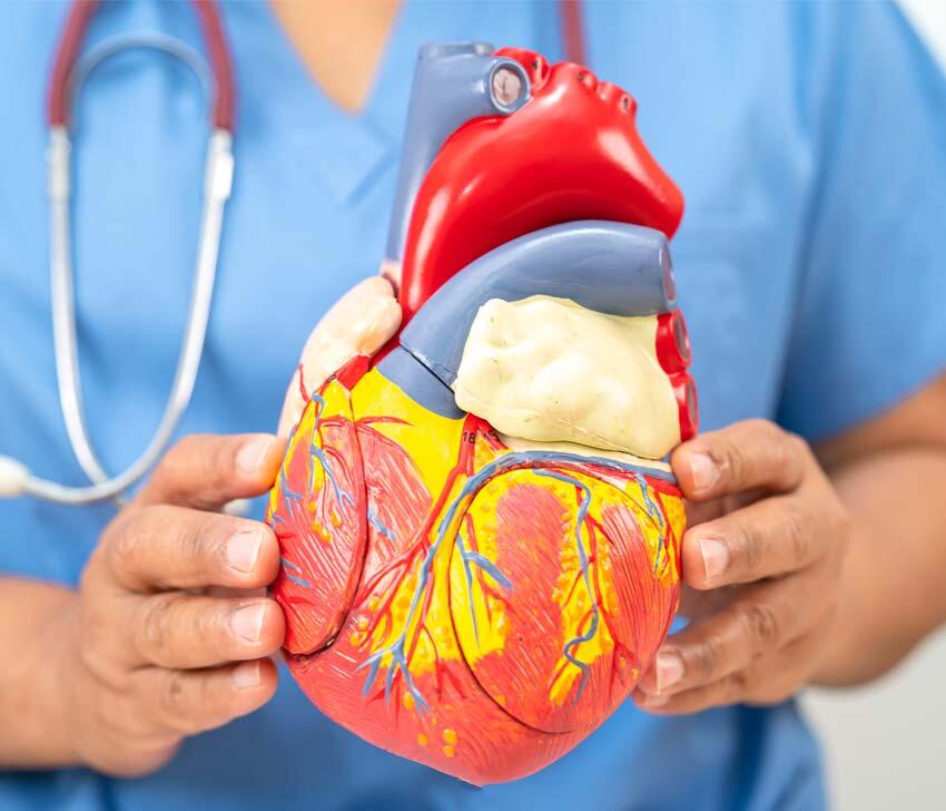 Emergency Physicians Share Tips to Recognize Signs of a Heart Emergency ...