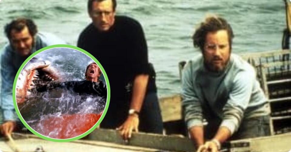 ‘Jaws’ At 50: The Ultimate Summer Blockbuster Fought Its Own Battles ...
