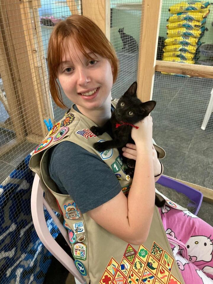 Local teen earns Girl Scout award for helping young cats - NewsBreak