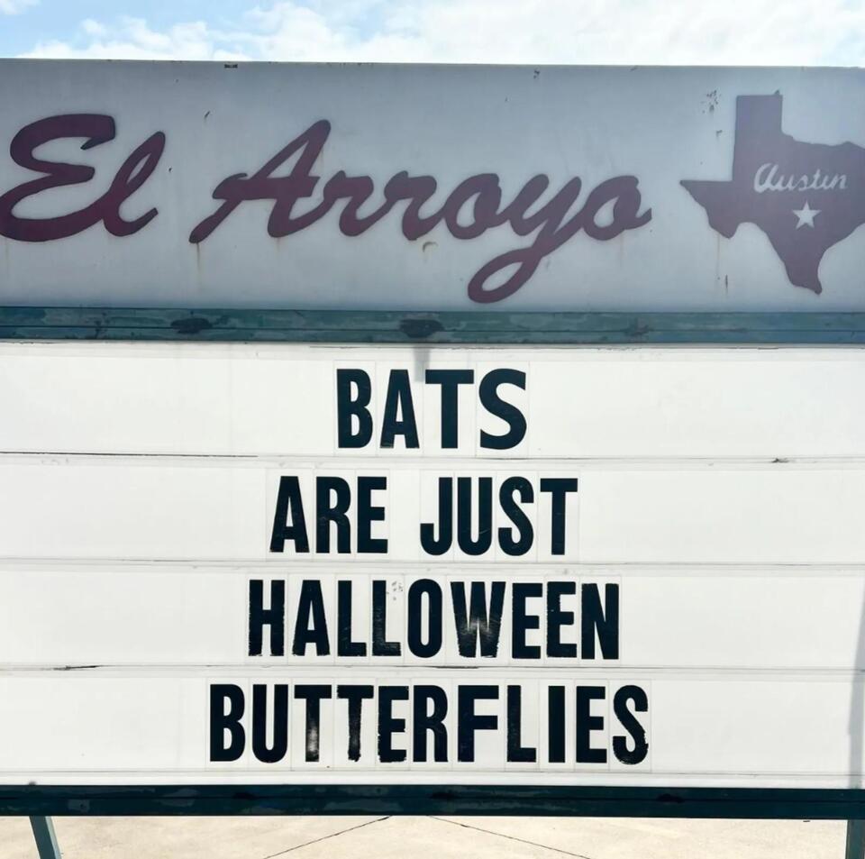 The Internet’s 51 Best Memes This Weekend - NewsBreak