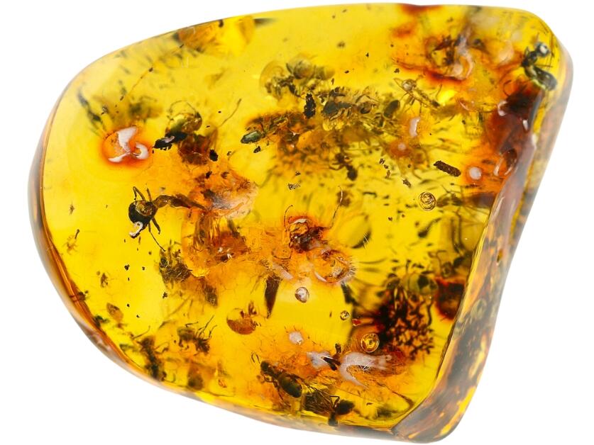 The 22 Different Types of Amber And What They All Look Like