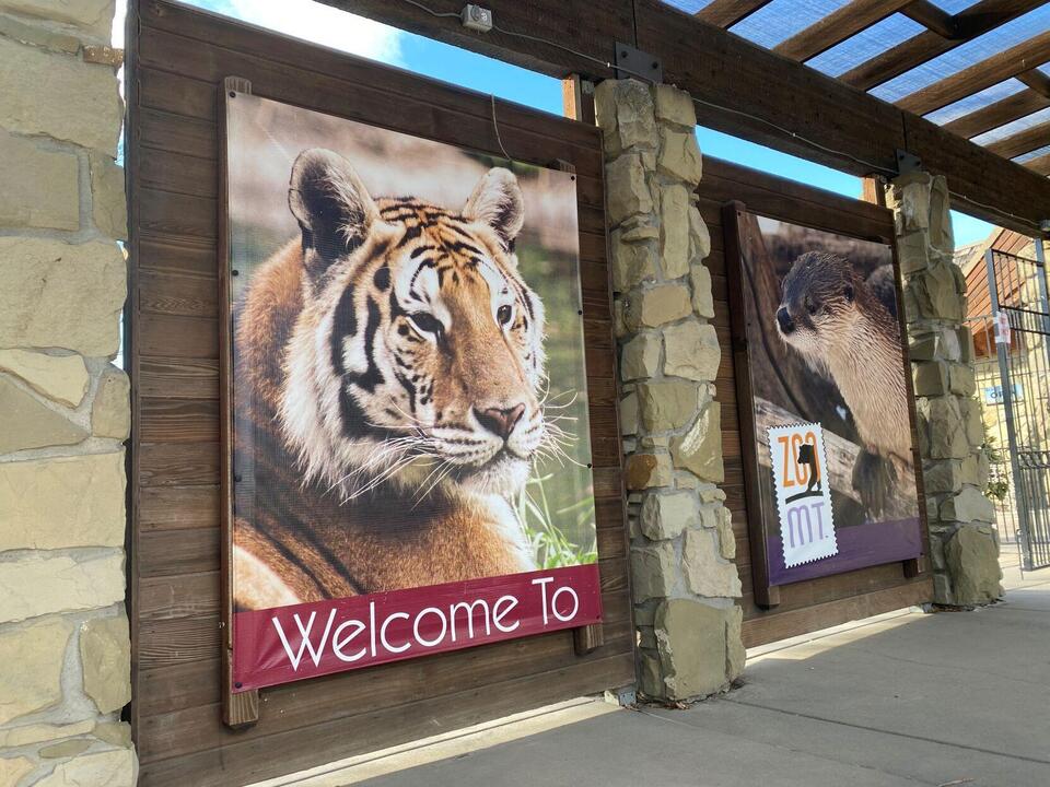 ZooMontana places in top 10 zoos in the United States - NewsBreak