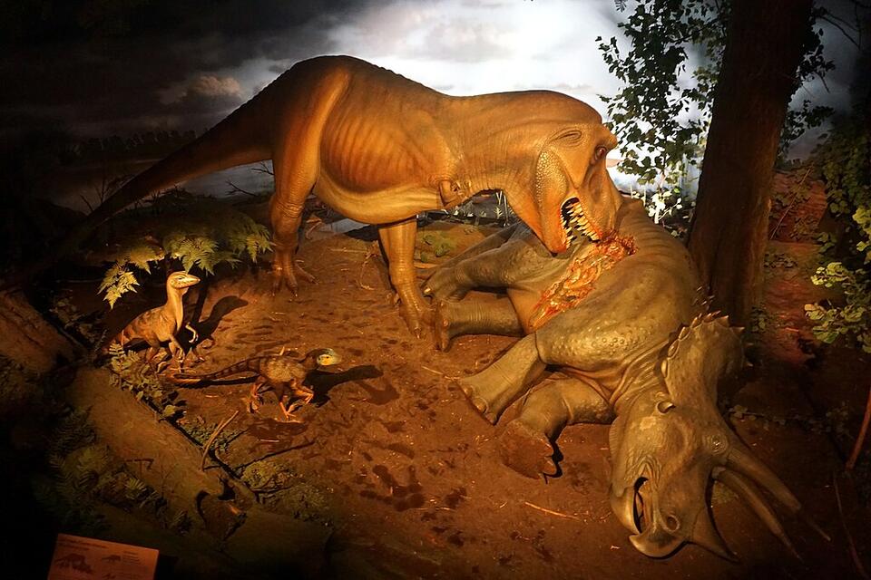 Zunityrannus The Lesser Known Tyrannosaur from Utah’s Prehistoric ...