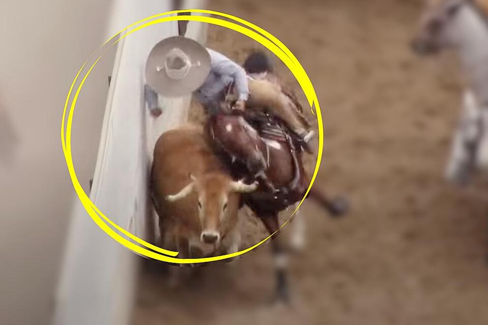 Barbaric Animal Abuse Reported At 2 Rodeos In Illinois - NewsBreak